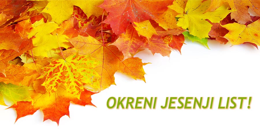 Kreiraj zlatnu jesen uz NLP edukacije | NLP Institut Beograd